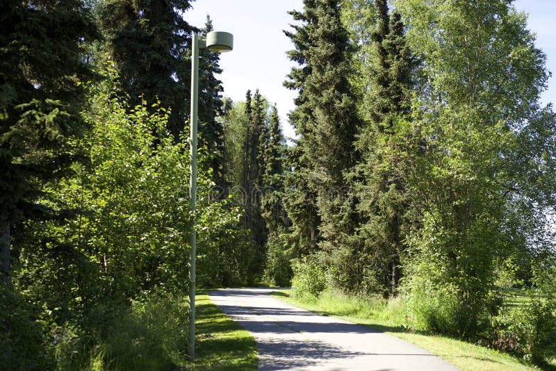 Bike path through park stock photo. Image of park, biking - 74087996