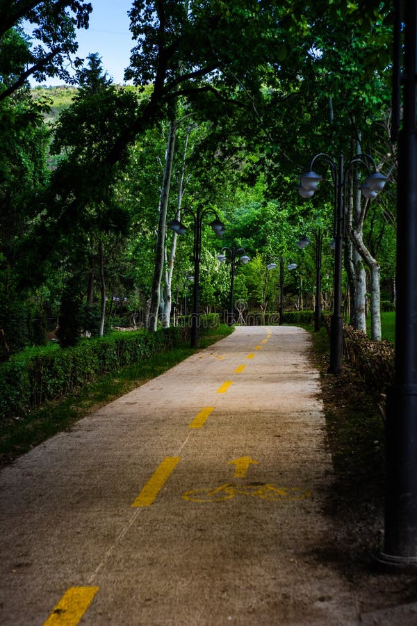 Bike path in the park stock image. Image of natural - 247813227