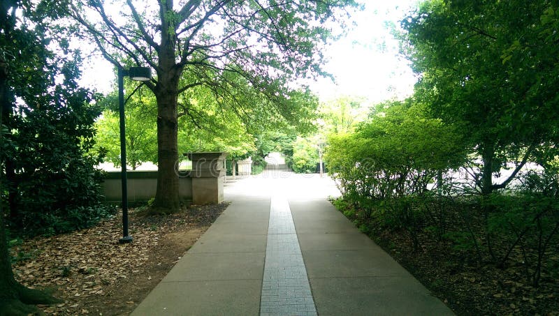A bike path. stock photo. Image of early, park, bike - 55870206