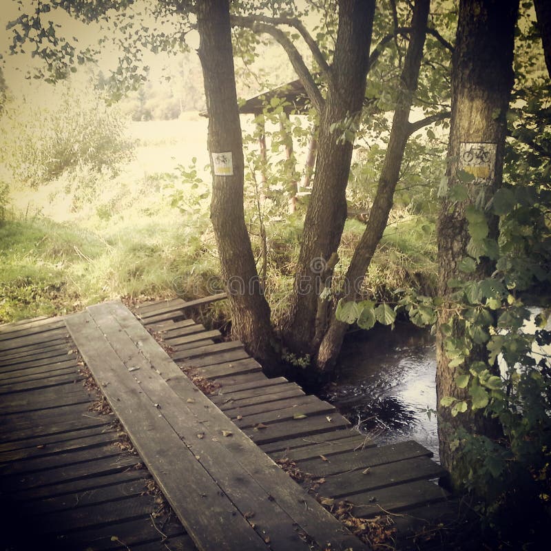 Bike Path stock photo. Image of bike, country, poland - 45791790