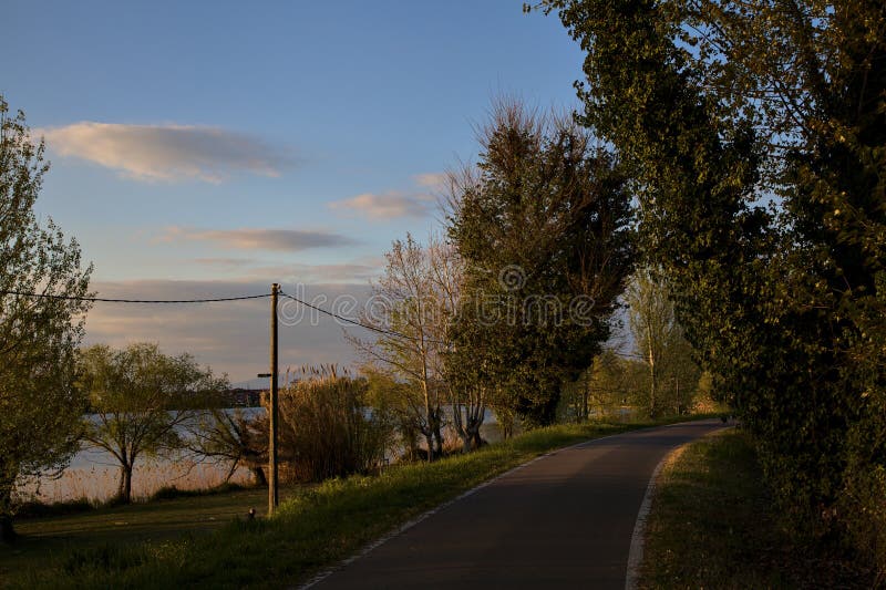 Bike Path by the Shore of a Lake at Sunset Stock Image - Image of ...