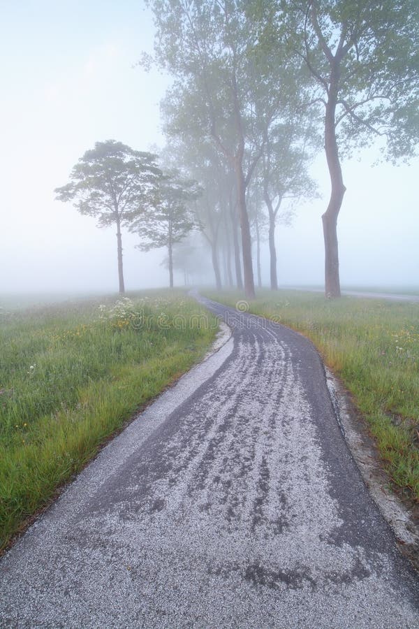 Bike Path between Trees in Fog Stock Image - Image of morning, road ...