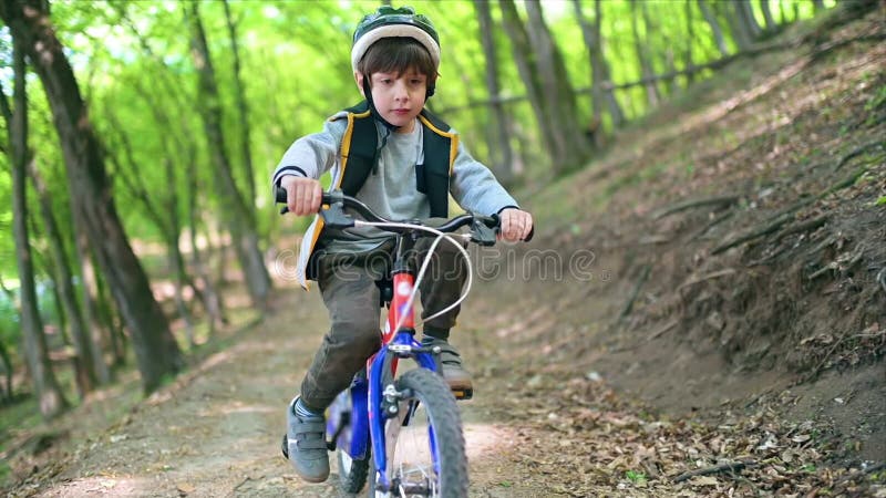 Bike Ride Along a Forest Swamp with Tree Reflections during Daytime ...