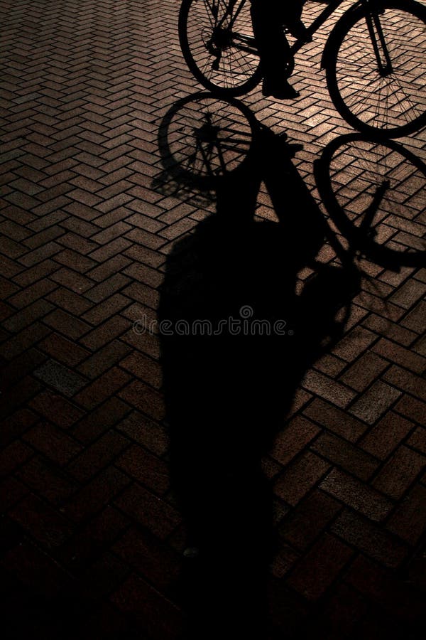 Bike riding stock photo. Image of bike, riding, active - 56225664