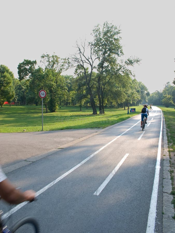 Bike road stock image. Image of garden, path, bike, plants - 8308835