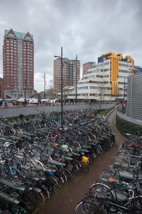 Bike shelf in Rotterdam editorial image. Image of rotterdam - 188089820