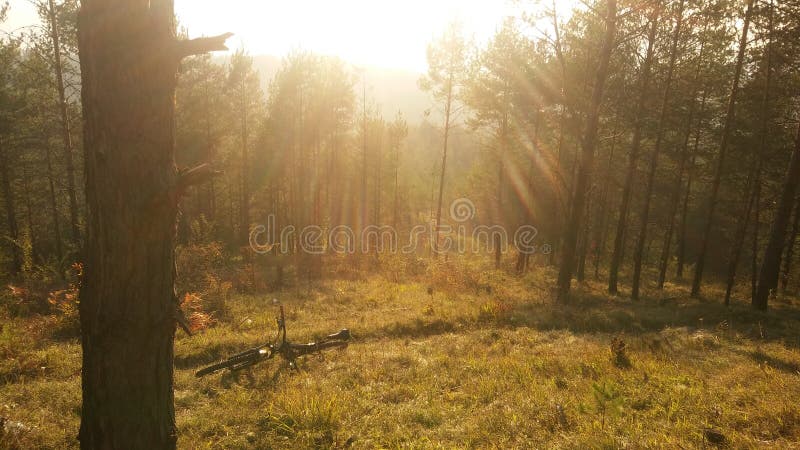 Bike on sunset trail stock photo. Image of mountain - 104689484