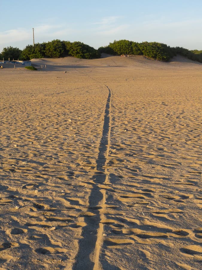 Bike tracks over the sand stock image. Image of light - 201144149