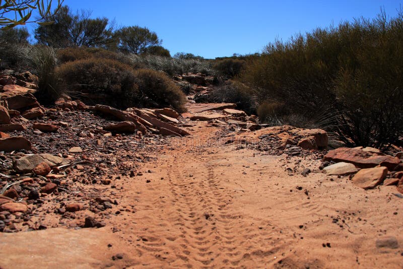 Bike tracks stock photo. Image of bush, sunlight, offroad - 61873580