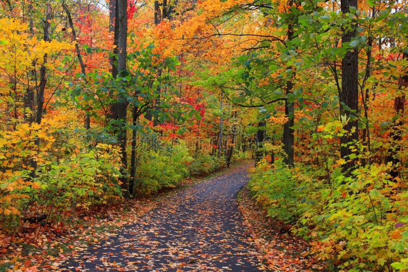 Bike trail in autumn time stock image. Image of walk - 44887855