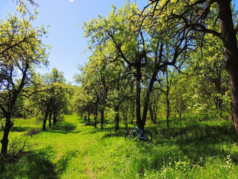 Mountainbikeing Stock Photos - Free & Royalty-Free Stock Photos from ...