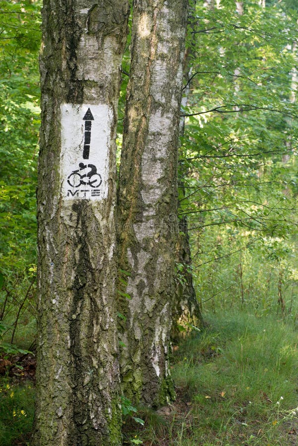 Bike trail sign on tree stock image. Image of cycling - 96992075