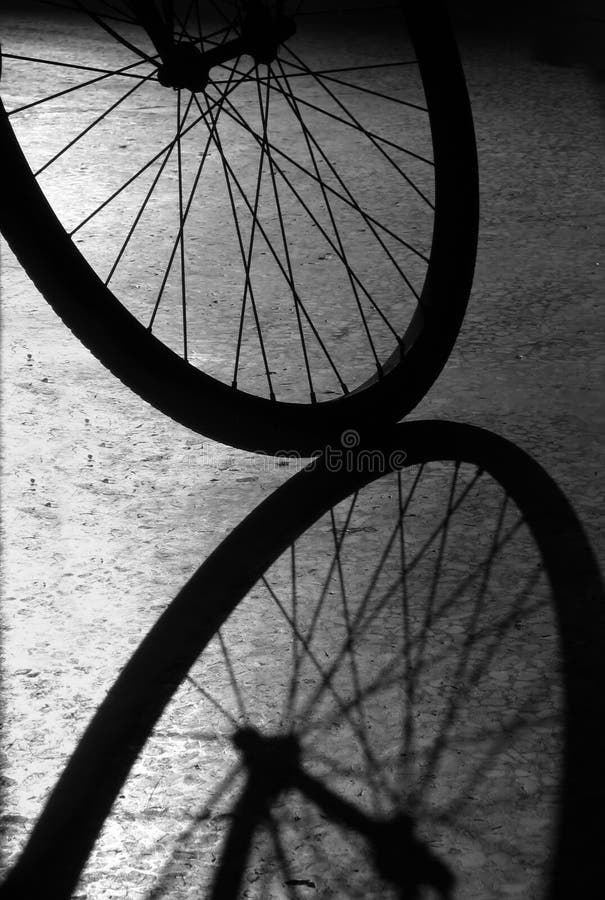 Bike Wheel Shadow stock photo. Image of light, round, bicycle - 979536