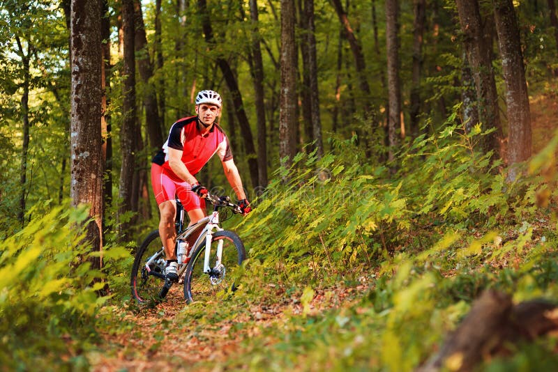 Biker Riding on Bicycle in Wood Stock Image - Image of biking, backpack ...