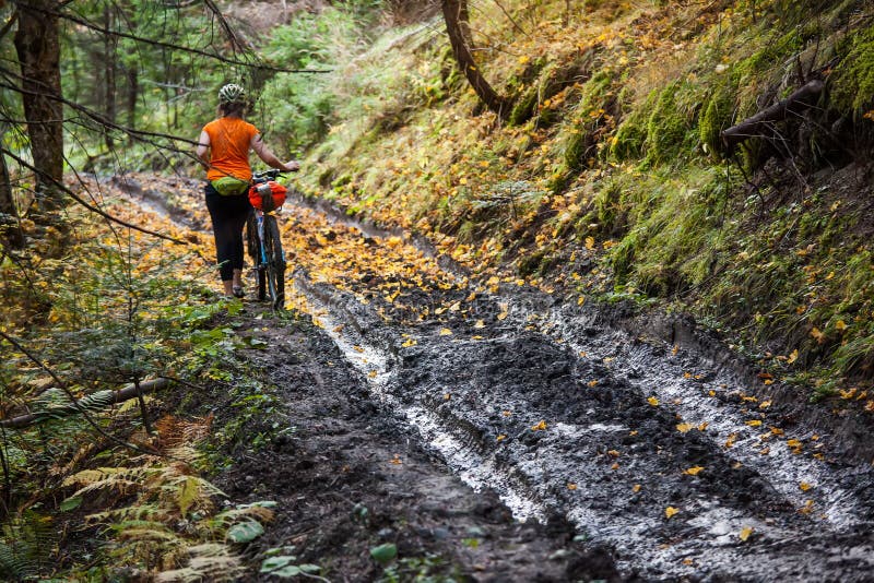 Bikers Travel in Difficult Conditions in Autumn Forest Stock Image ...