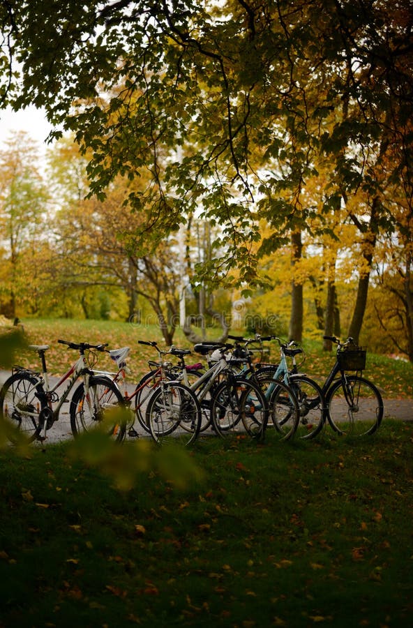 Bikes parked in a park stock photo. Image of yellow - 246189300