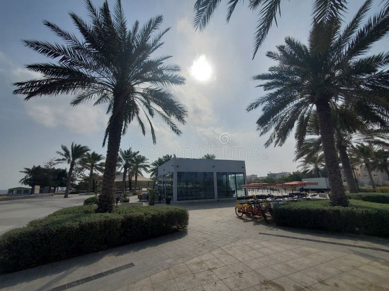 Seeb Beach Walking Area, Oman Editorial Image - Image of beach ...
