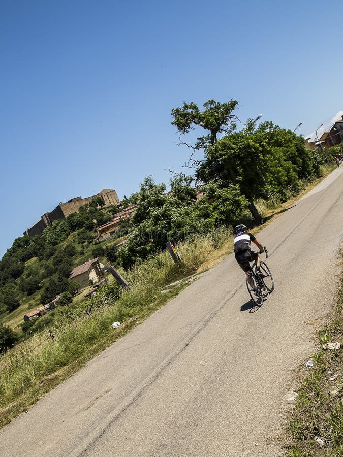 Biking stock photo. Image of forest, lifestyle, recreation - 41878330