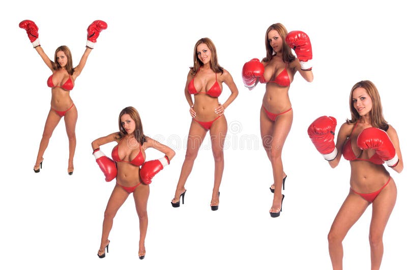 Bikini Women Fight Stock Photos - Free & Royalty-Free Stock Photos from Dreamstime