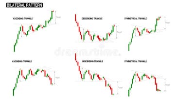 Bilateral Pattern Stock Illustrations – 498 Bilateral Pattern Stock ...