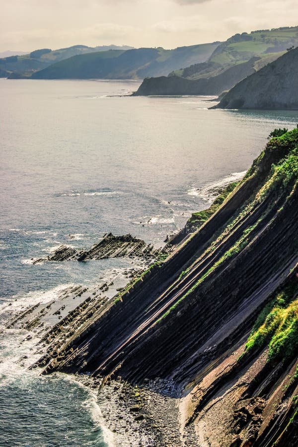 (Paulaestevesilvestre00) - Photos