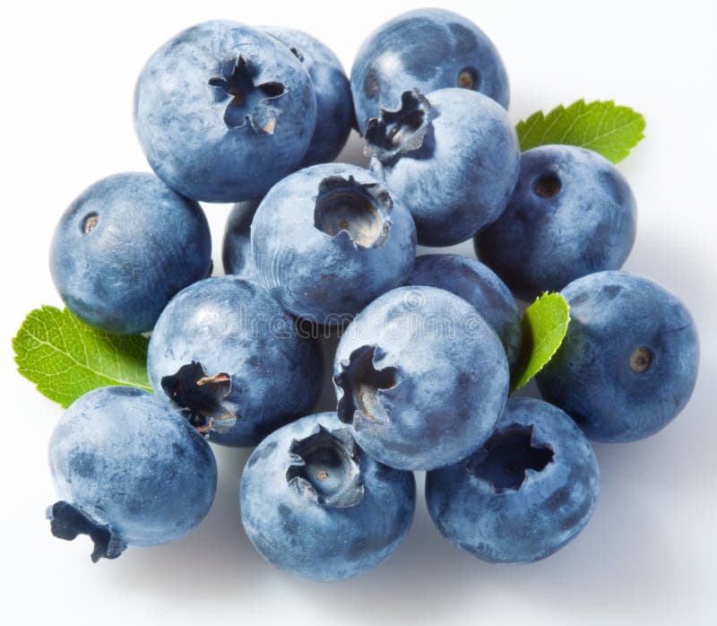 Bilberry stock image. Image of fresh, farm, blue, delicious - 1018889