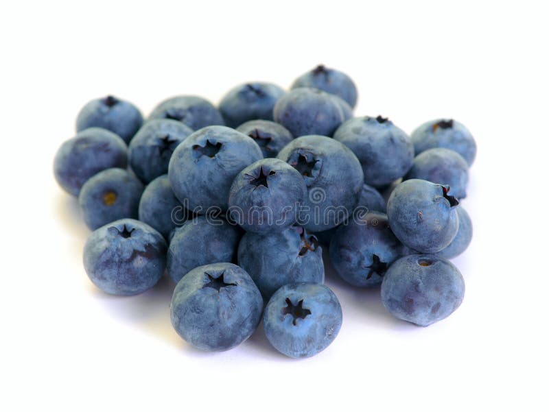 Rotten Food : Mouldy Blueberry Fruit Stock Photo - Image of bacteria ...