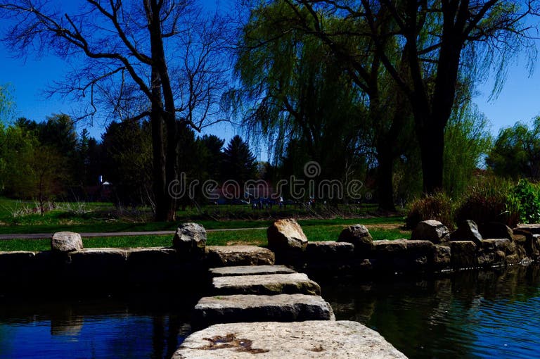 Bild av lugn fotografering för bildbyråer. Bild av parkera - 82950017