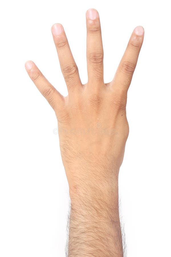 Bild der menschlichen Hand stockbild. Bild von ausdruck - 152605351