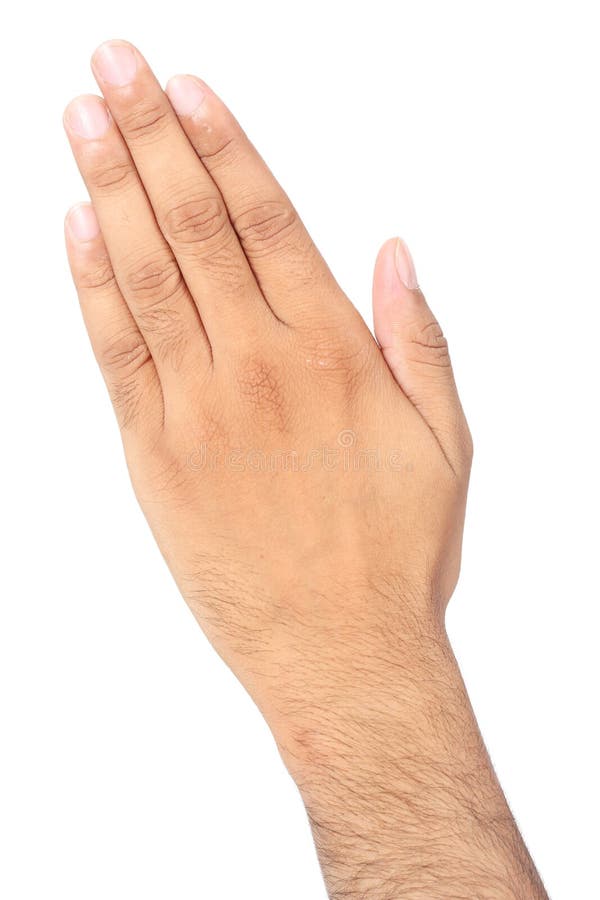 Bild der menschlichen Hand stockbild. Bild von geschäft - 152603943