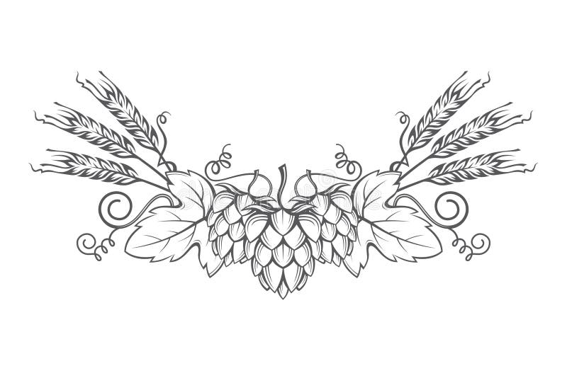 Bild Des Hopfen- Und Gerstenohrs Vektor Abbildung - Illustration von ...
