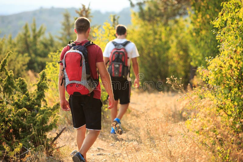 Wanderer in einem Wald stockbild. Bild von bilden, blätter - 91776671