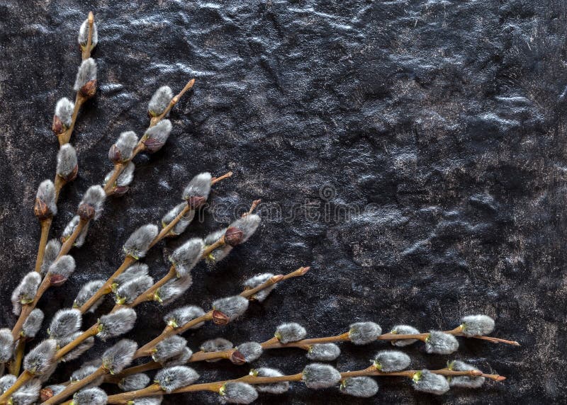 Bild mit einer Weide stockbild. Bild von ostern, landschaft - 111572021