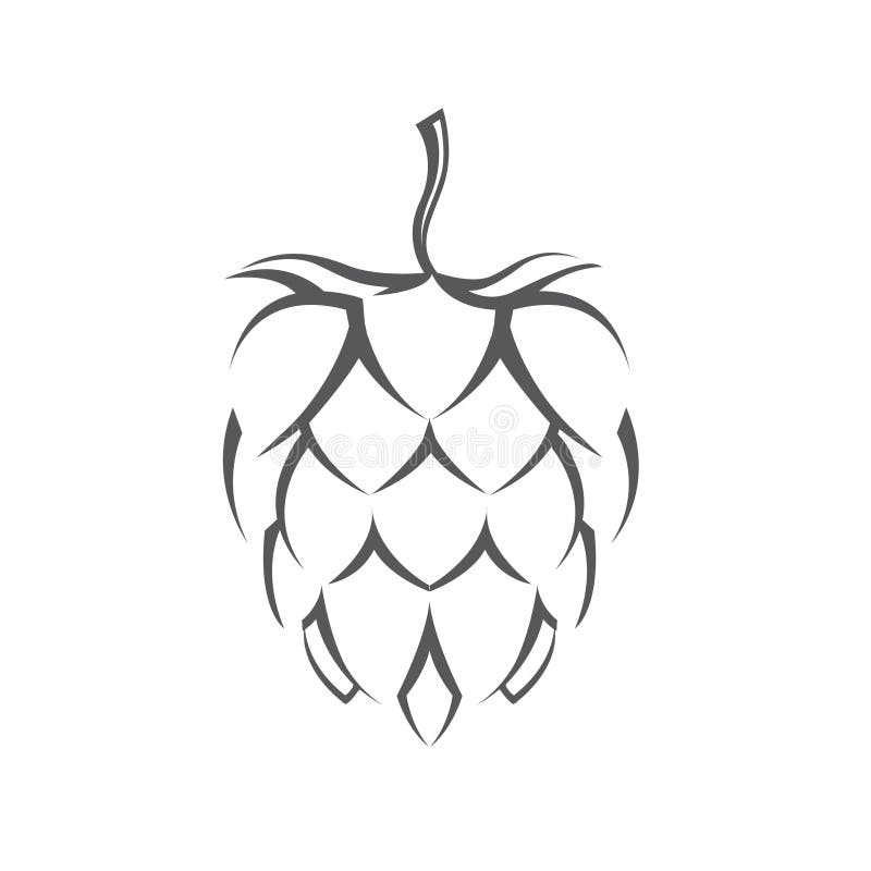 Hopfen vektor abbildung. Illustration von hopfen, frucht - 83858515