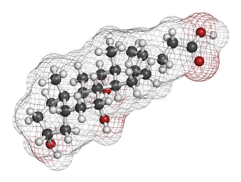 Bile Acid (cholic Acid, Cholate) Molecule. Cholic Acid is the Main Bile ...