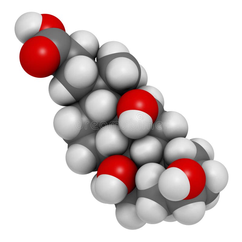 Bile Acid (cholic Acid, Cholate) Molecule. Cholic Acid is the Main Bile ...