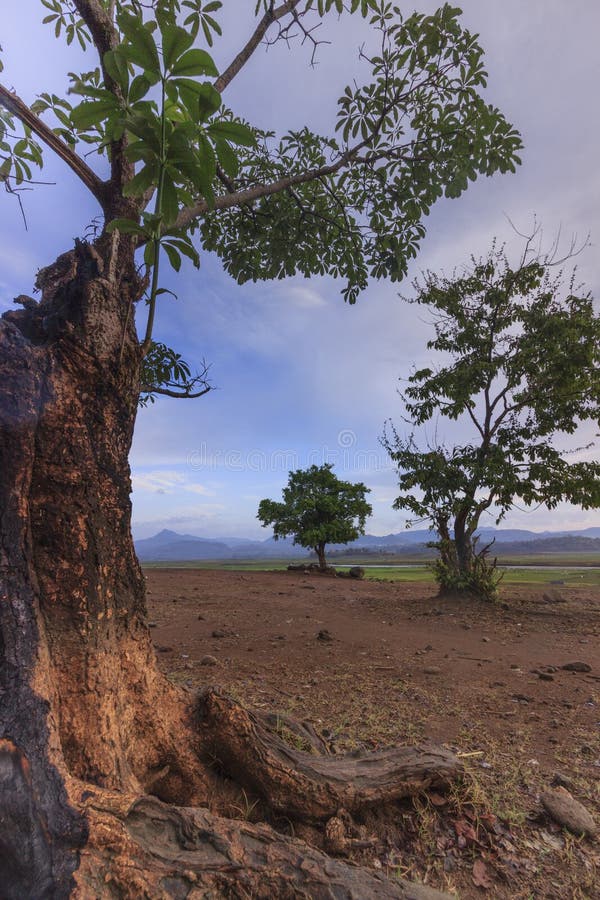 Bili bili dam Gowa stock image. Image of jungle, forest - 254242687