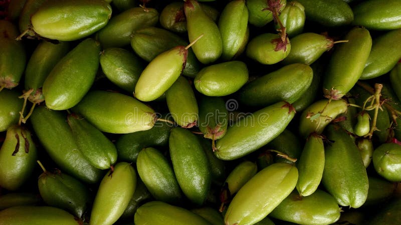 Bilimbi Fruit (Bilimbing, Averrhoa Bilimbi Linn) Stock Photo - Image of ...