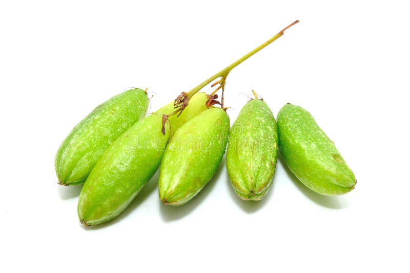 Bilimbi fruits stock photo. Image of tropical, kamias - 38125686