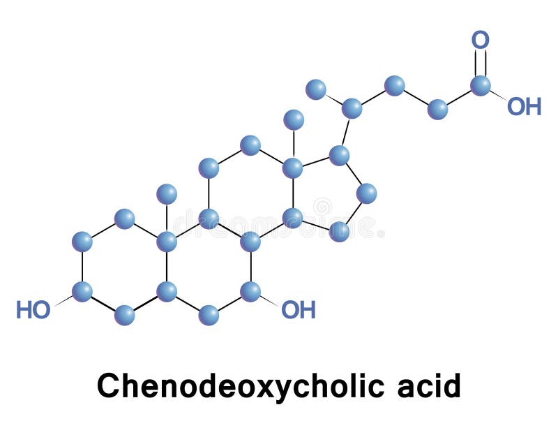 Molécula De Colato De ácido Cólico ácido Biliar. El ácido Cólico Es El ...