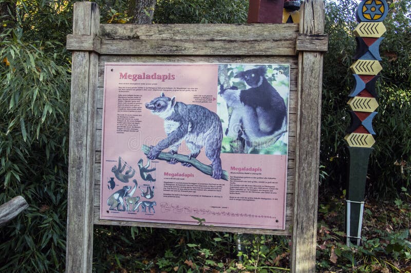 Billboard Megaladapis at Apenheul Zoo Apeldoorn the Netherlands 2018 ... Billboard Megaladapis at Apenheul Zoo Apeldoorn the Netherlands 2018 ...