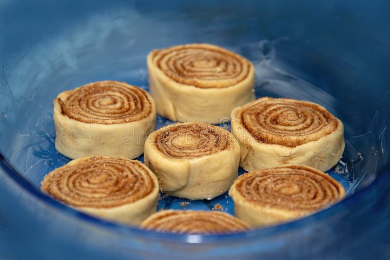 Billet Cinnamon Rolls are in a Blue Transparent Baking Dish Stock Image ...