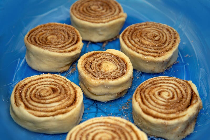 Blanks of Cinnamon Rolls are in a Blue Transparent Form that is Put in ...