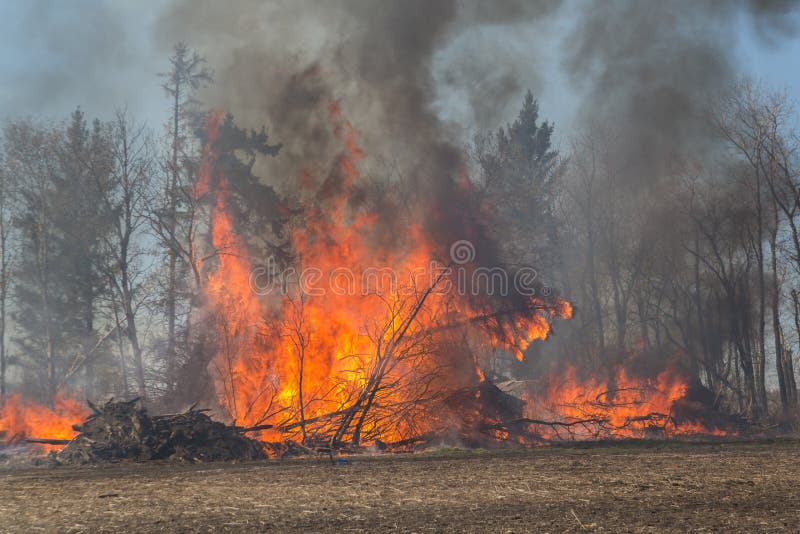 Billowing Smoke and Flames from a Brush Fire Stock Image - Image of ...