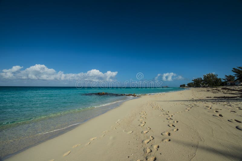 Bimini beach stock photo. Image of ocean, island, blue - 85931430