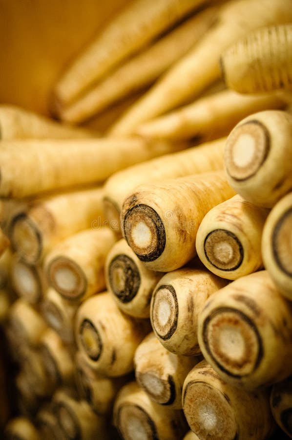 A Bin of Fresh Parsnips stock image. Image of foodie - 36771387