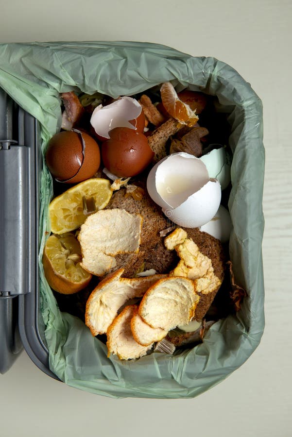 Bin full of rubbish stock photo. Image of peel, compostable - 221497102