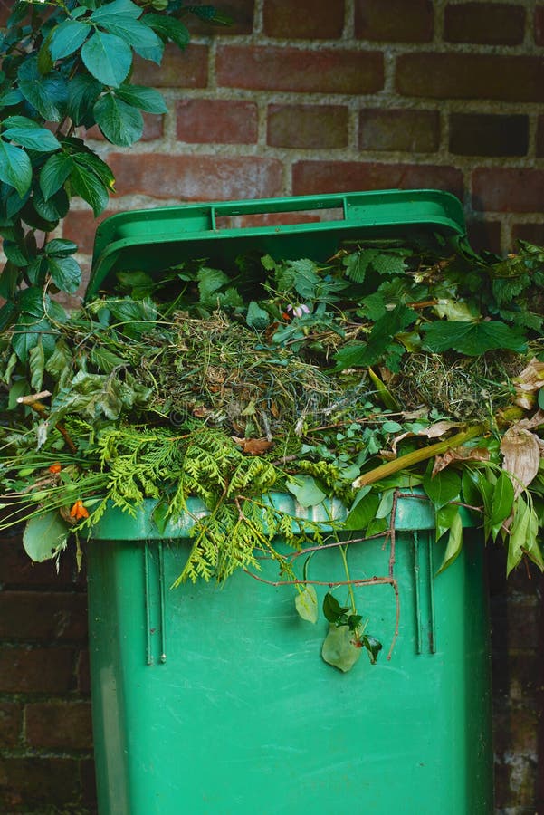 Bin, Plants and Waste for Compost in Environment, Nature and Eco ...