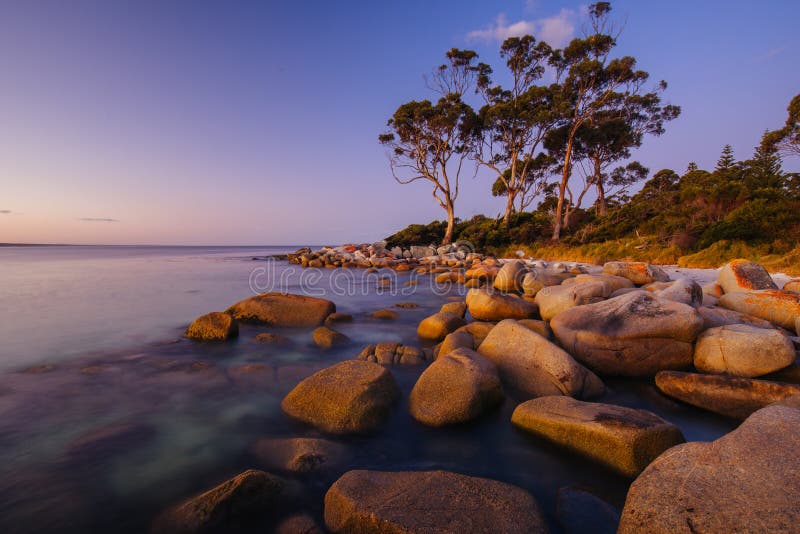 Binalong Bay Sunset in Tasmania Australia Stock Photo - Image of fauna ...