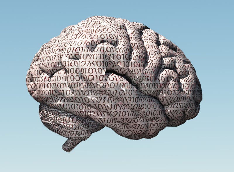 Binary brain stock illustration. Illustration of digitally - 60954557
